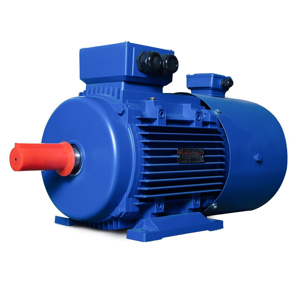 Wholesale YVF2 Series Converter-Fed Three-Phase Induction Motor ...