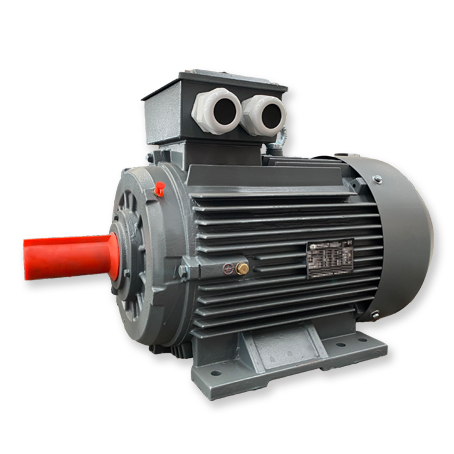 Wholesale Cast iron motor IE3 Series Motor Manufacturer and Supplier ...