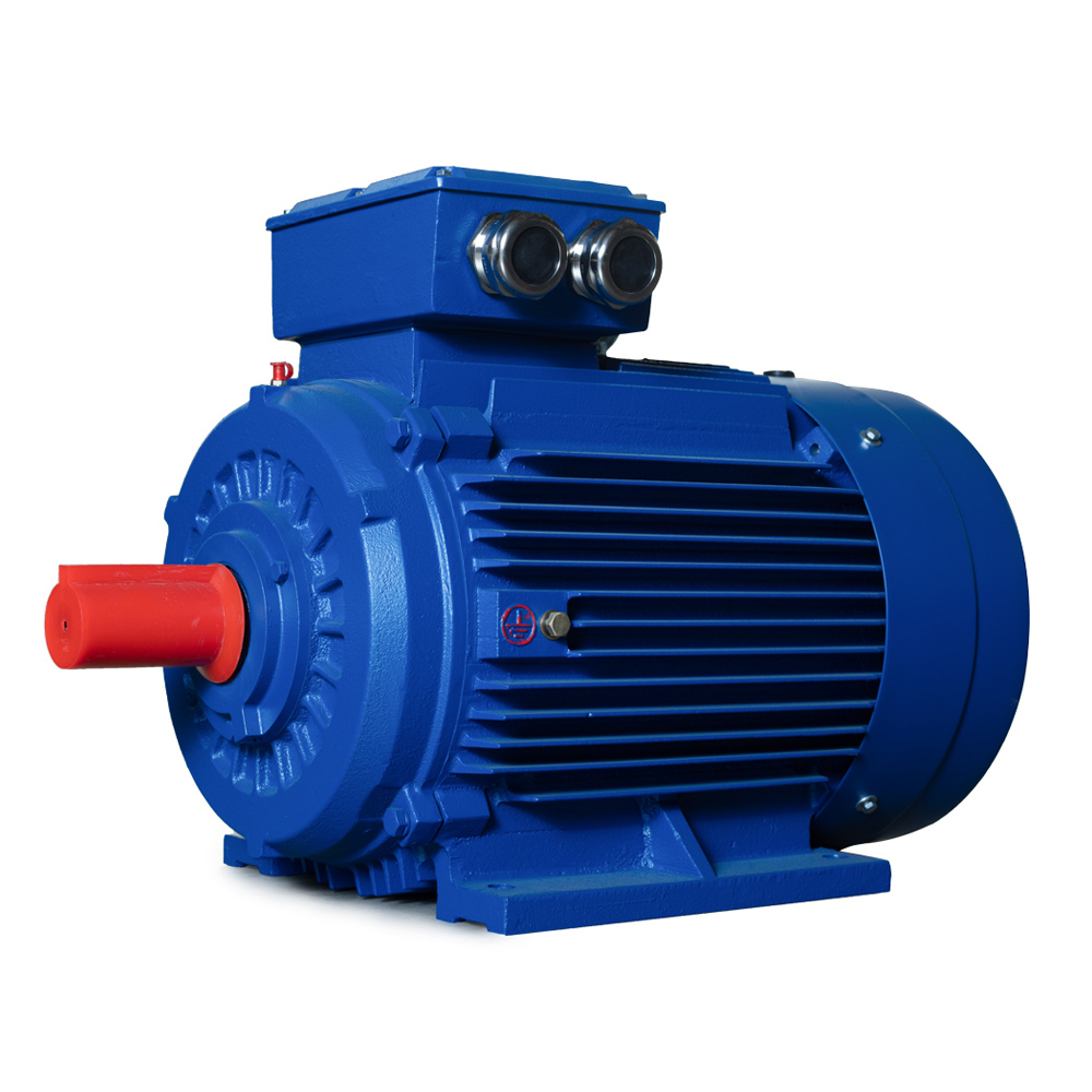 Wholesale Y-H Series Marine Three-Phase Induction Motor Manufacturer ...